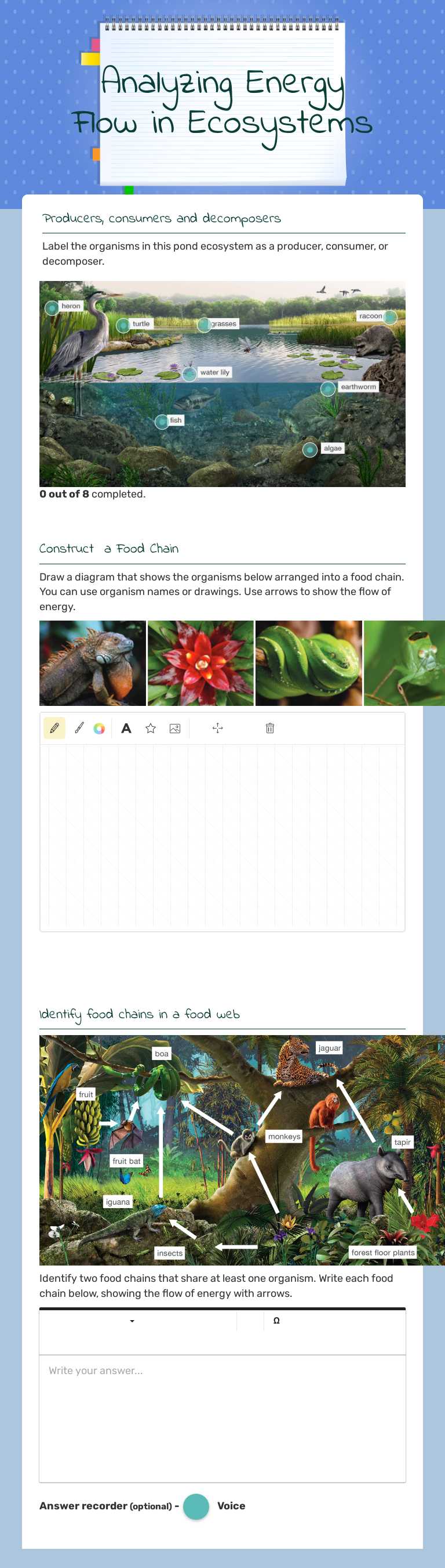 Explore energy flow in ecosystems! Identify producers, consumers, and ...