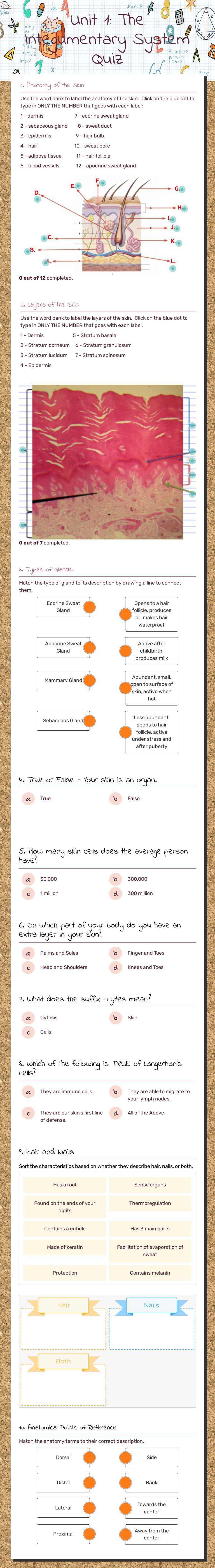 Quiz on the integumentary system: skin anatomy, layers, glands, and ...
