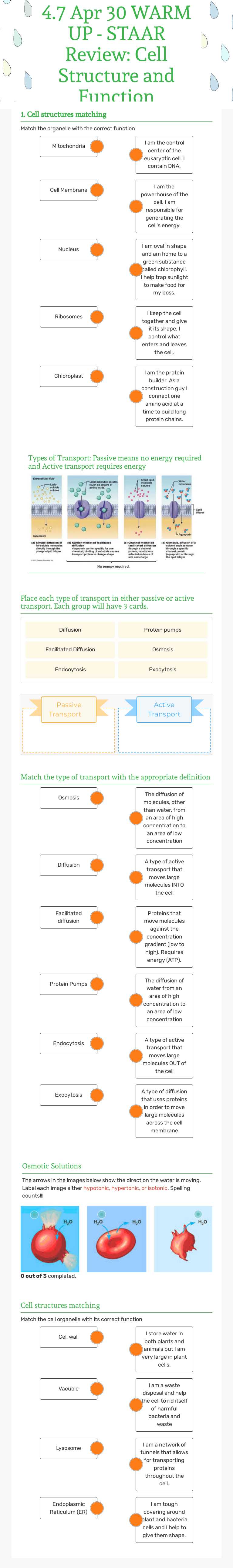 Master cell structure & function! Review organelles, transport, and ...