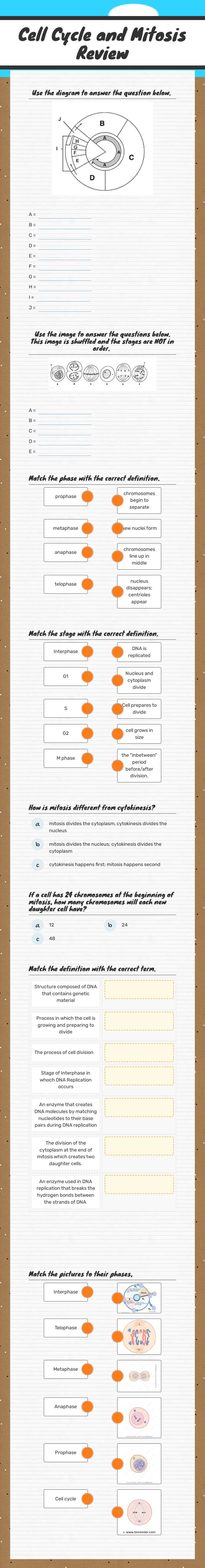 Master the cell cycle and mitosis! Review phases, definitions, and key ...