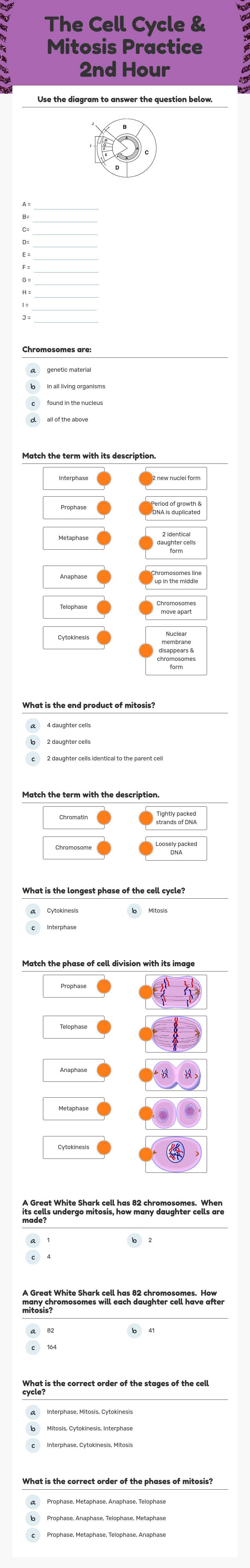 The Cell Cycle & Mitosis Practice 2nd Hour by Kandace Cook ...