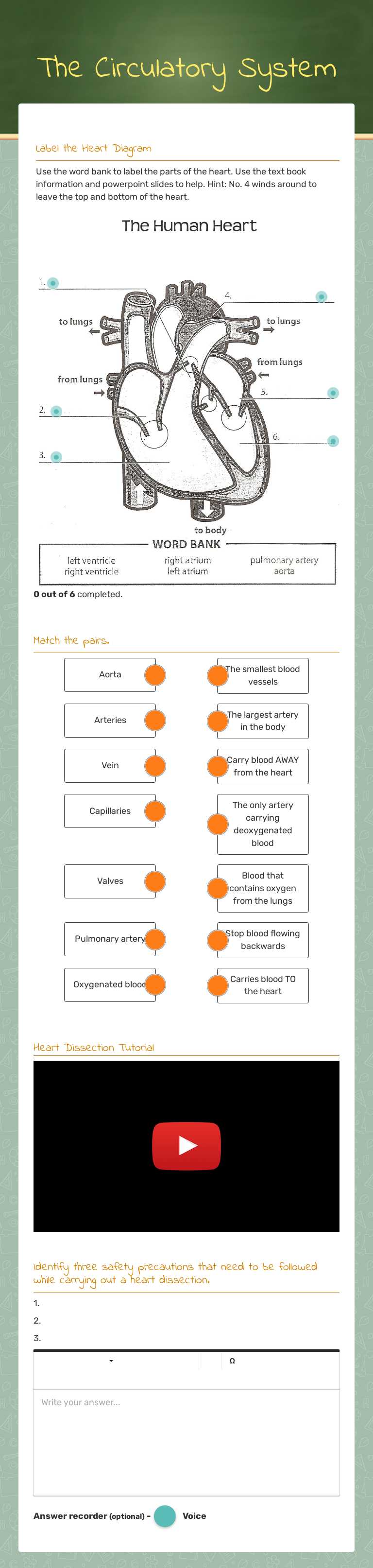 The Circulatory System by Ferry Michelle | Interactive Worksheet | Wizer.me