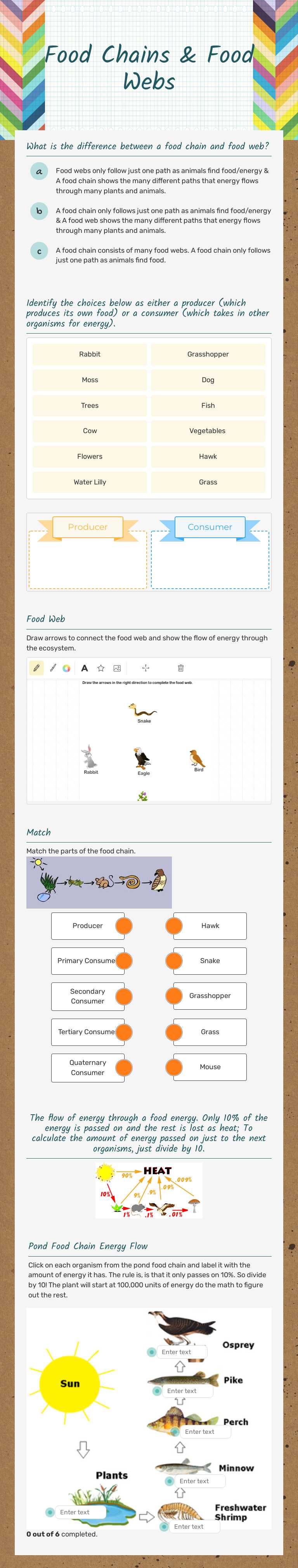 Explore food chains and food webs! Identify producers, consumers, and ...