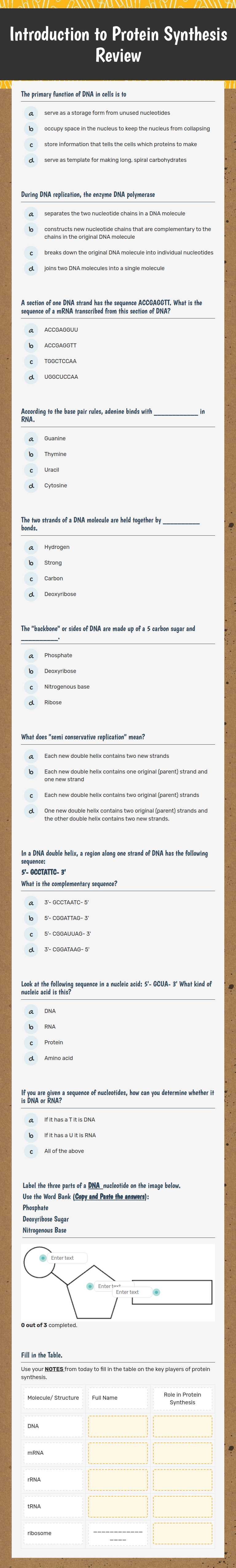 Master protein synthesis with our review worksheet! Covers DNA ...