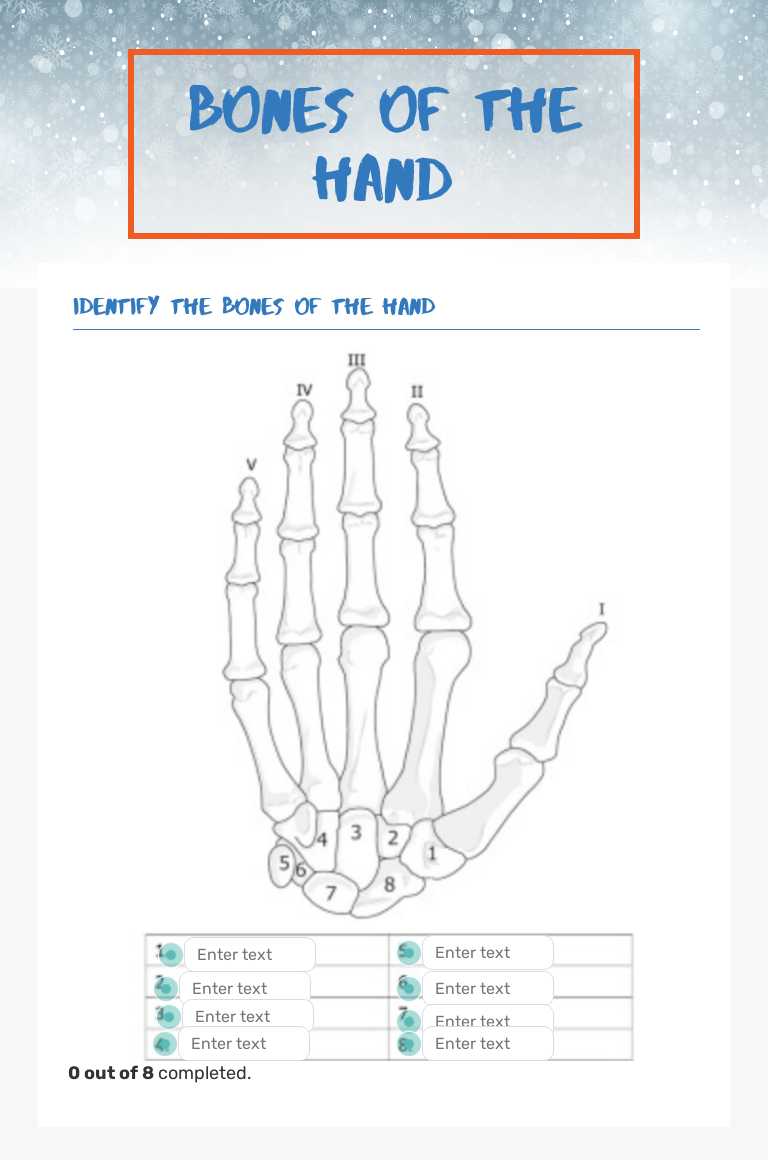 Identify the bones of the hand, from carpals to phalanges. Master hand ...