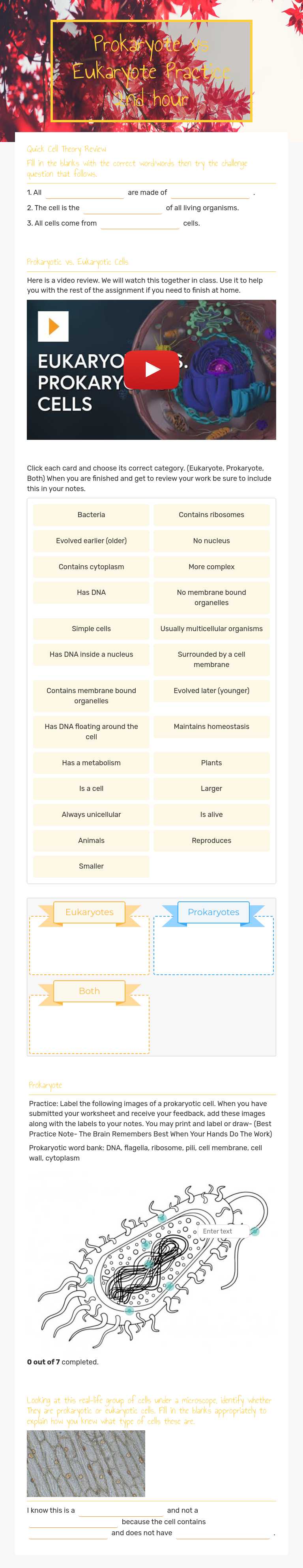 Master the differences between prokaryotic and eukaryotic cells with ...