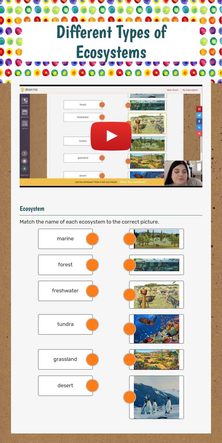 Different Types of Ecosystems by Alexa McLaughlin | Interactive ...