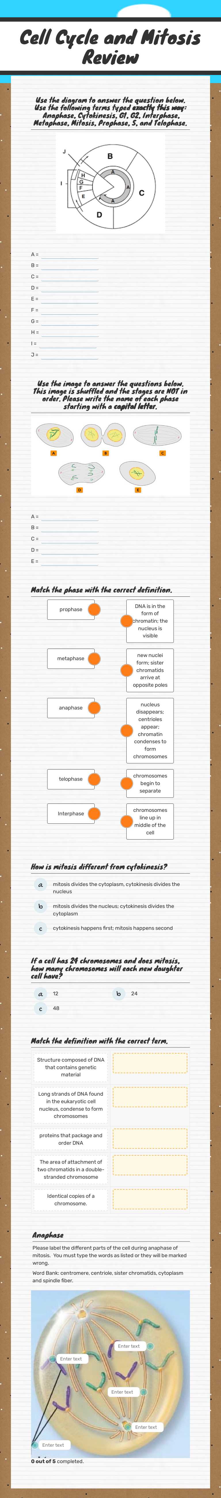 Cell Cycle and Mitosis Review by Kristin DiGiacomo | Interactive ...