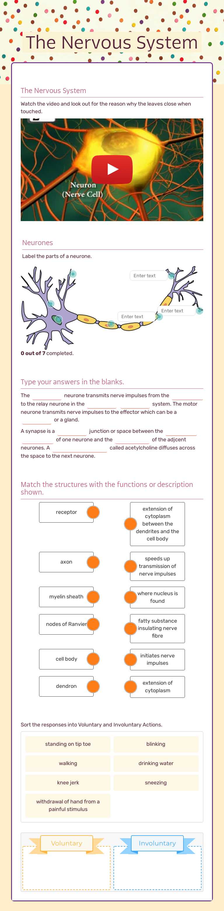 The Nervous System by Kevin Charles Pimentel | Interactive Worksheet ...