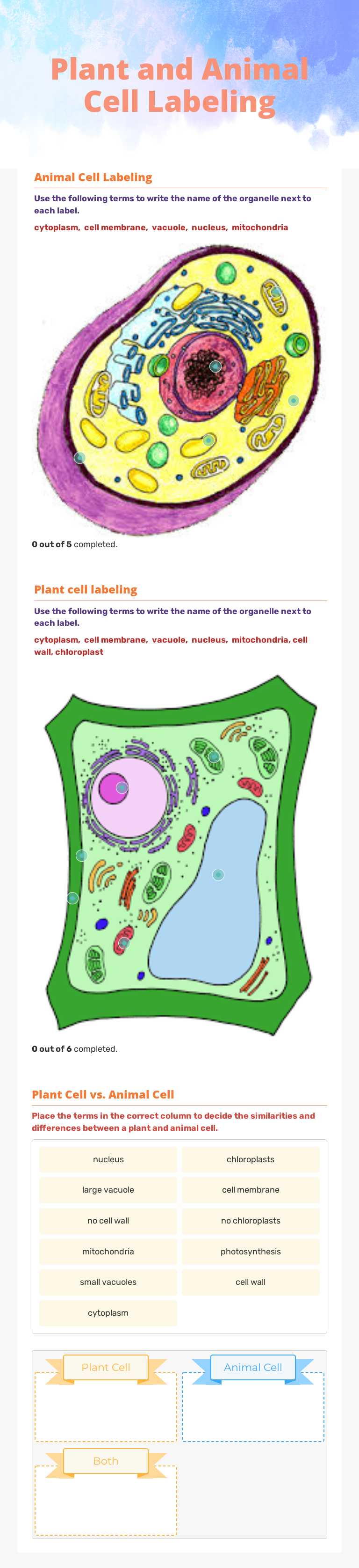Explore the fascinating world of cells! Label organelles in plant and ...