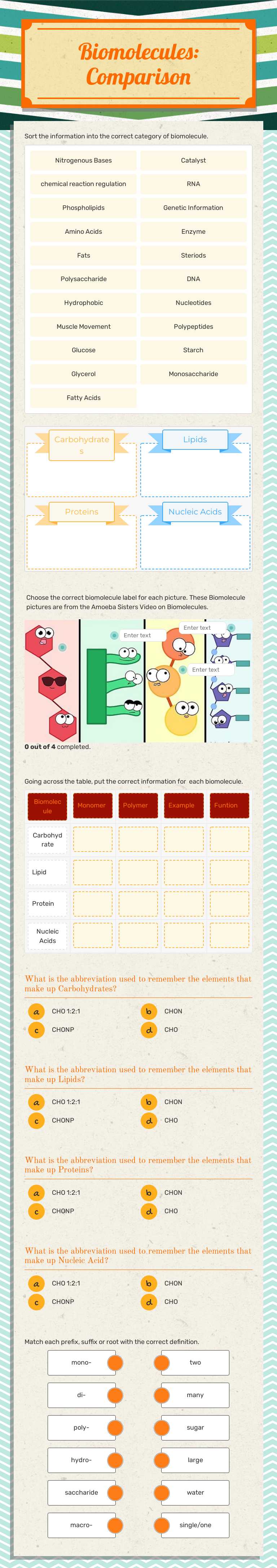 Compare key biomolecules! Master carbs, lipids, proteins, and nucleic ...