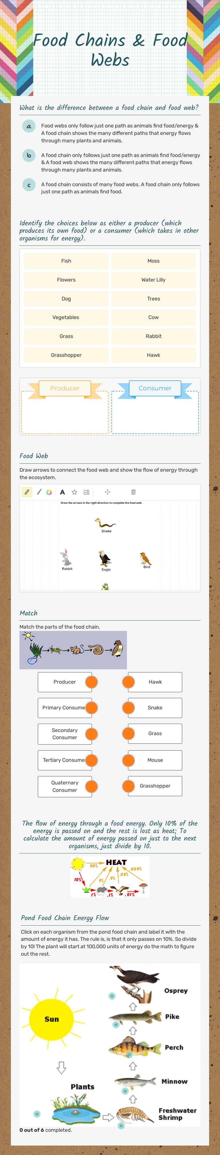 Explore food chains and webs! Learn how energy flows in ecosystems ...