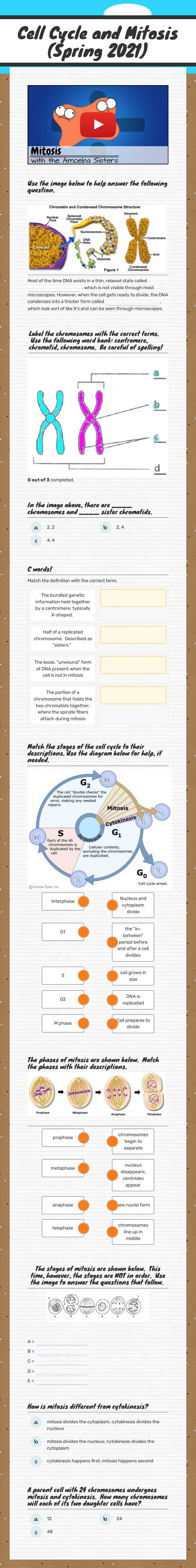 Learn cell cycle and mitosis stages, chromosome structure, and ...