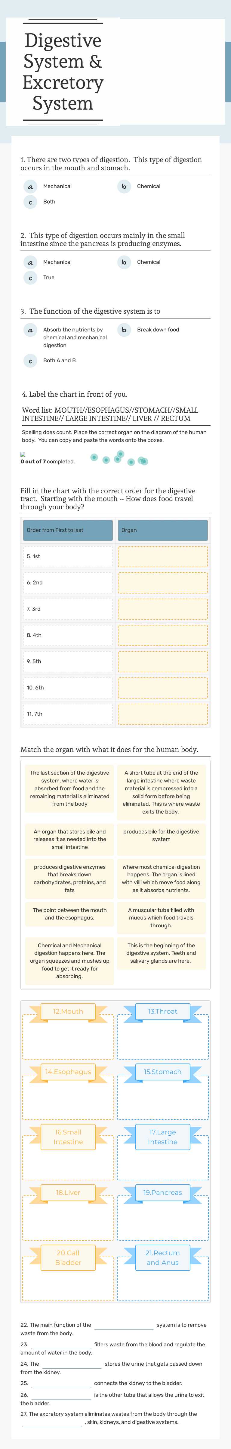 Digestive System & Excretory System by Darlington Tower | Interactive ...