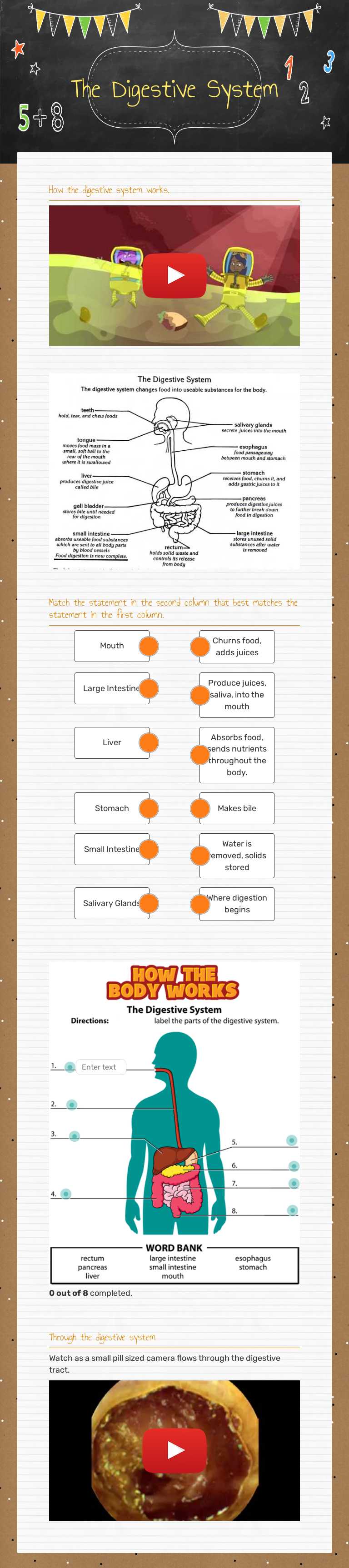 The Digestive System by Amanda Gonzalez | Interactive Worksheet | Wizer.me