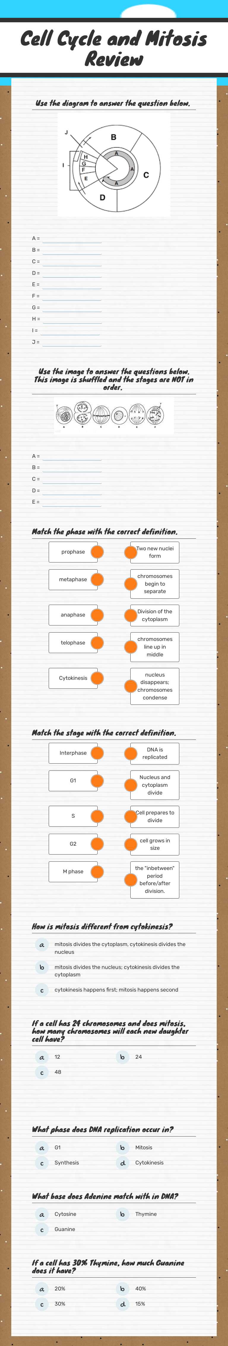 Cell Cycle and Mitosis Review by Amanda Daniel | Interactive Worksheet ...