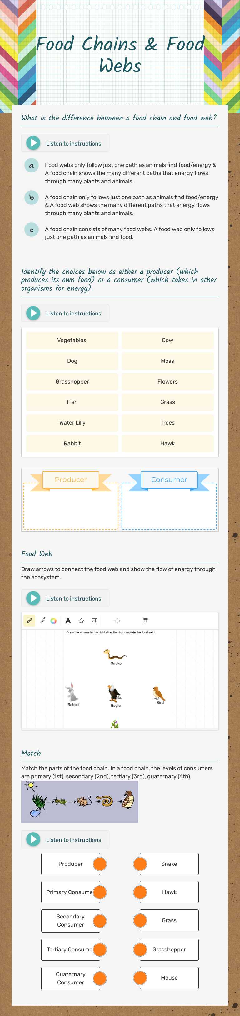 Learn about food chains & webs! Identify producers/consumers and trace ...
