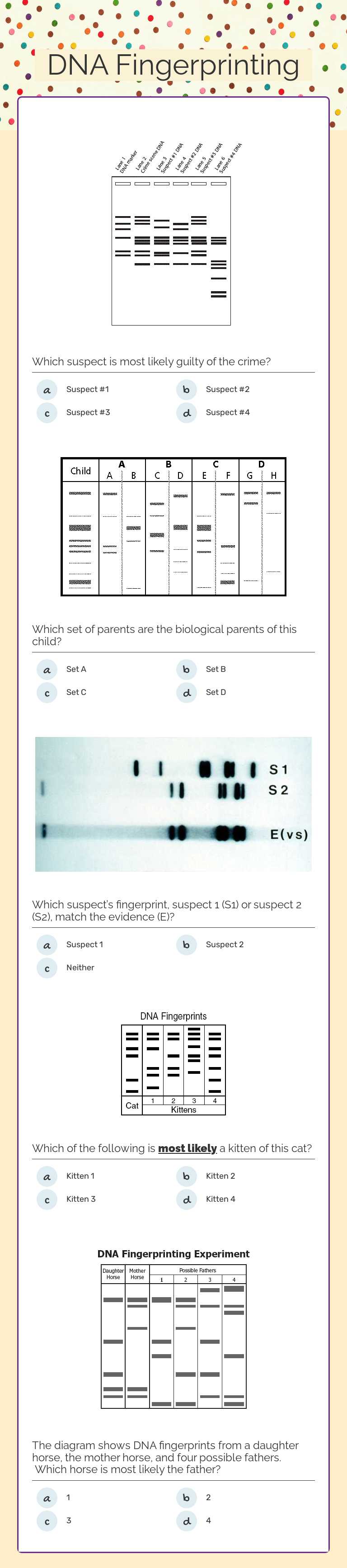 DNA Fingerprinting by Vidhya Sankaranarayanan | Interactive Worksheet ...