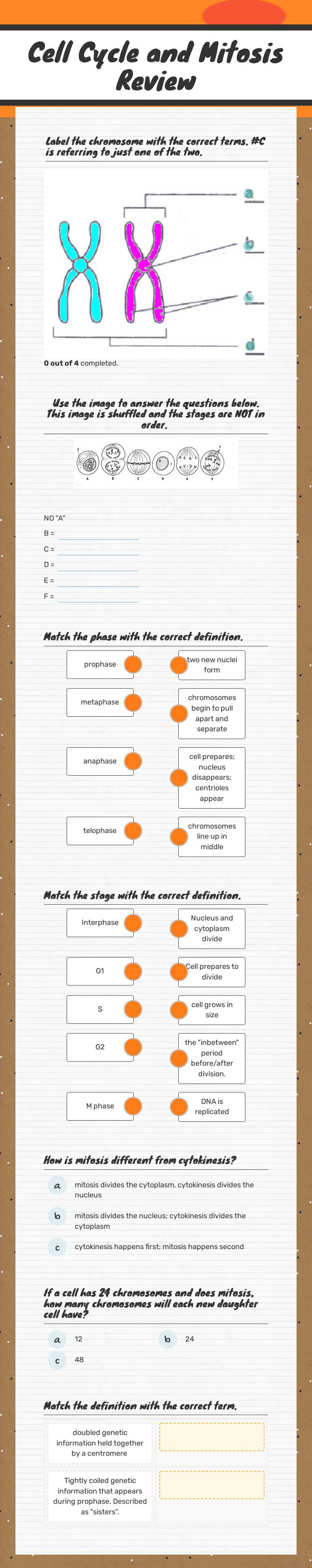 Cell Cycle and Mitosis Review by Lauren Griffin | Interactive Worksheet ...