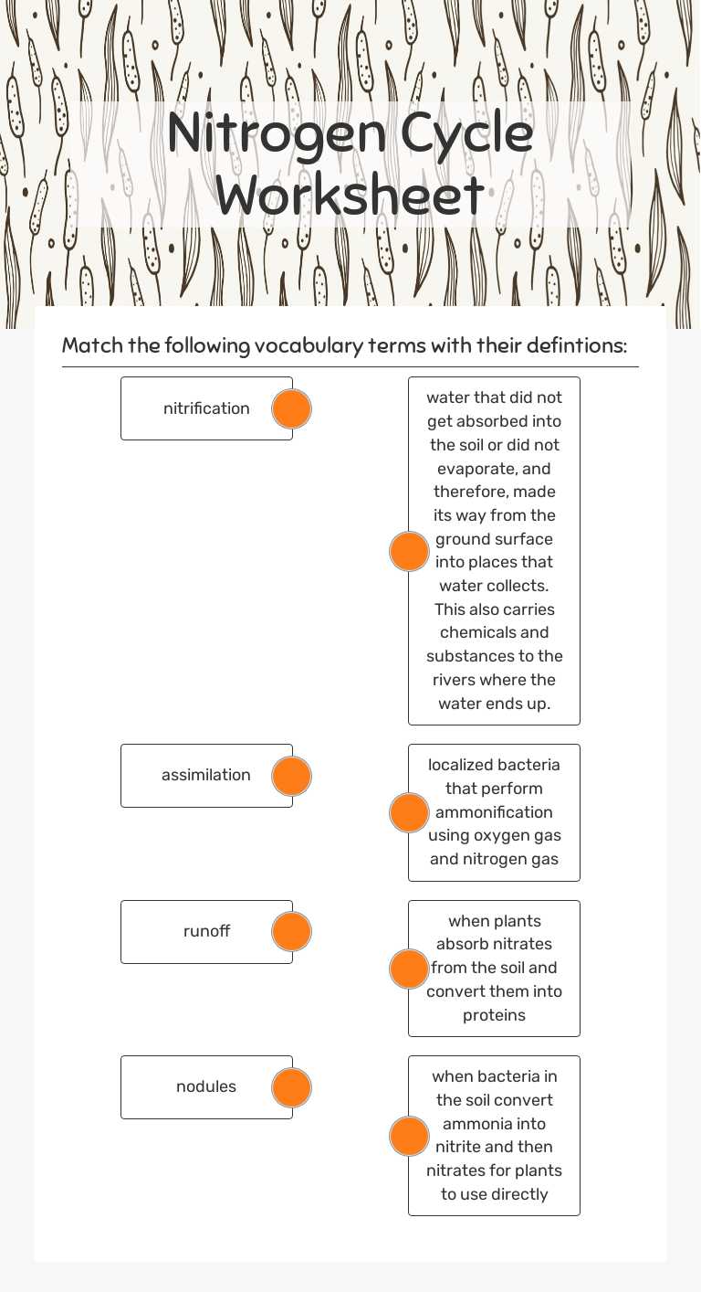 Nitrogen Cycle Worksheet by Addison Larkin | Interactive Worksheet ...