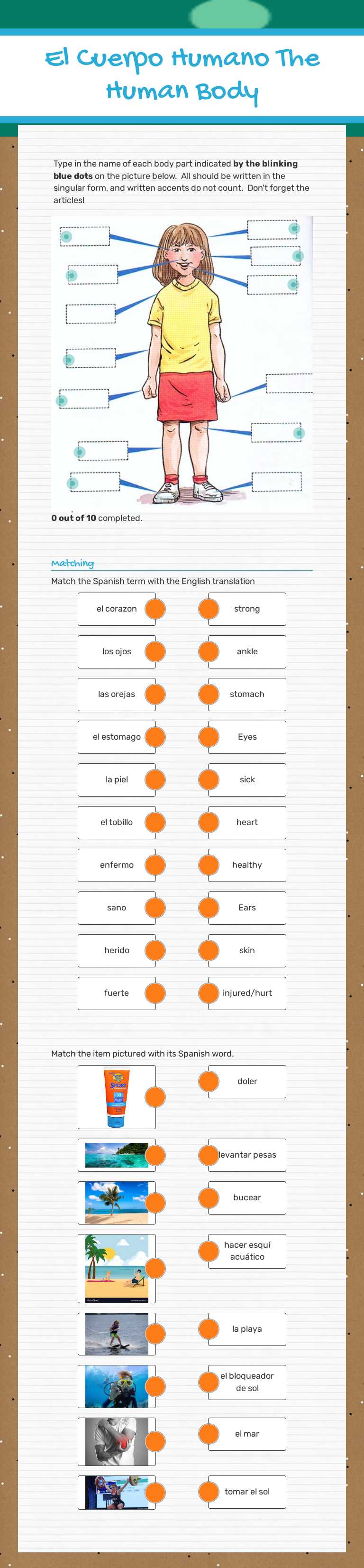 Master the human body in Spanish! Label parts and match terms with this ...