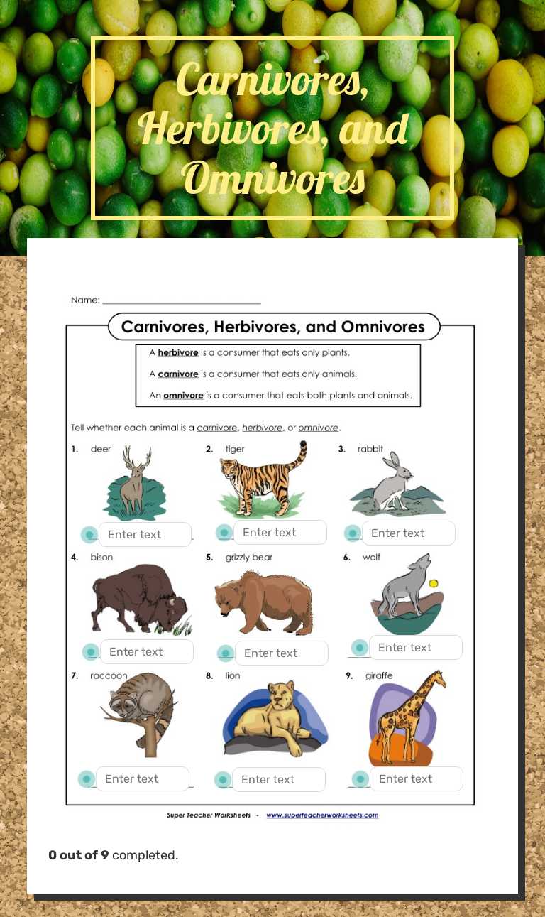 Carnivores, Herbivores, and Omnivores by Janette Salazar | Interactive ...