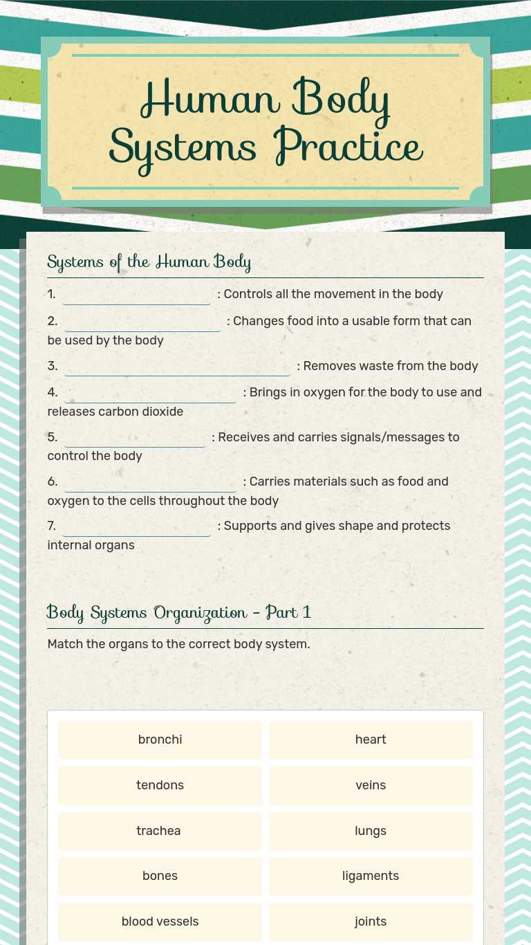 Human Body Systems Practice worksheet