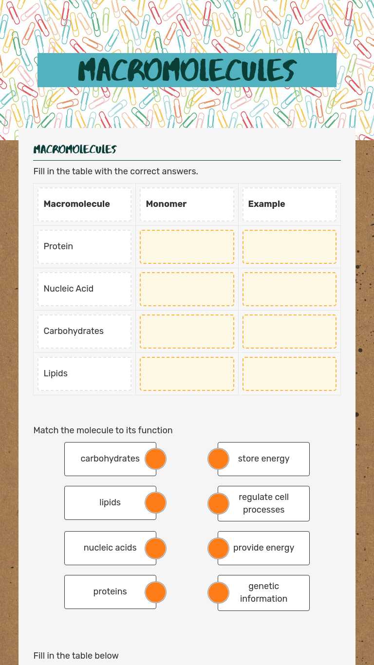 Macromolecules worksheet