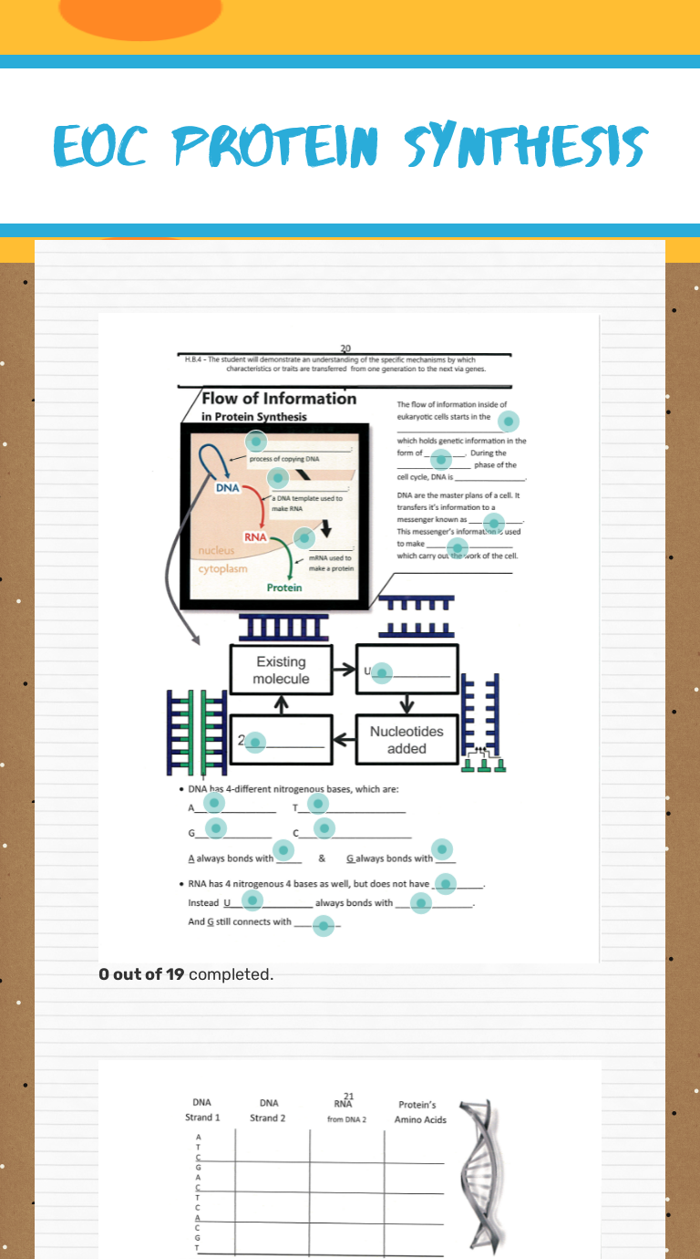EOC Protein synthesis by Jennifer Jennings | Interactive Worksheet ...
