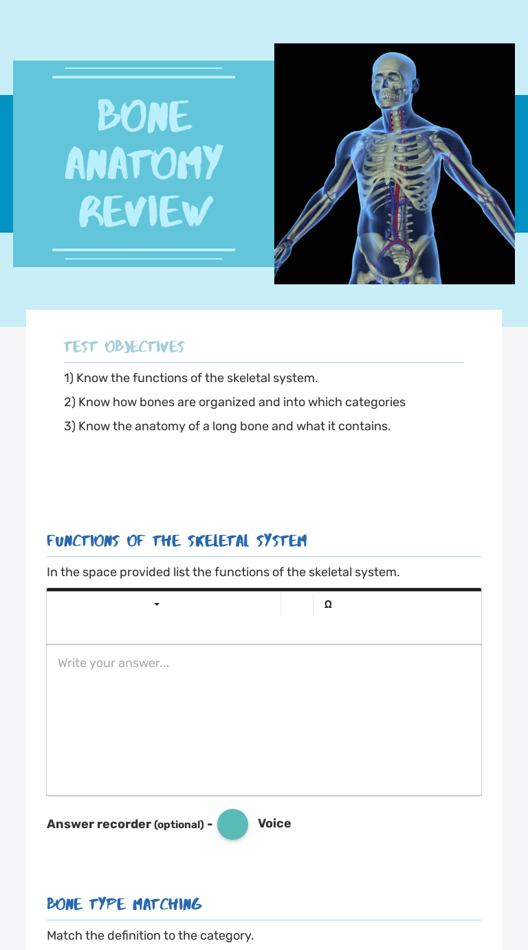 Bone Anatomy Review | Interactive Worksheet by Kim Sandberg | Wizer.me