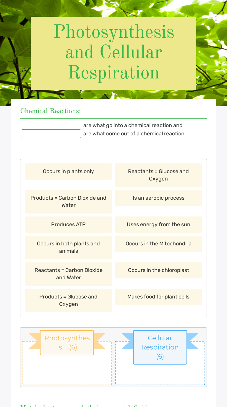 Photosynthesis and Cellular Respiration by Charles Cole | Interactive ...