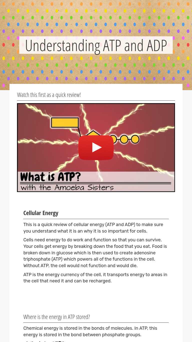 Understanding ATP and ADP worksheet
