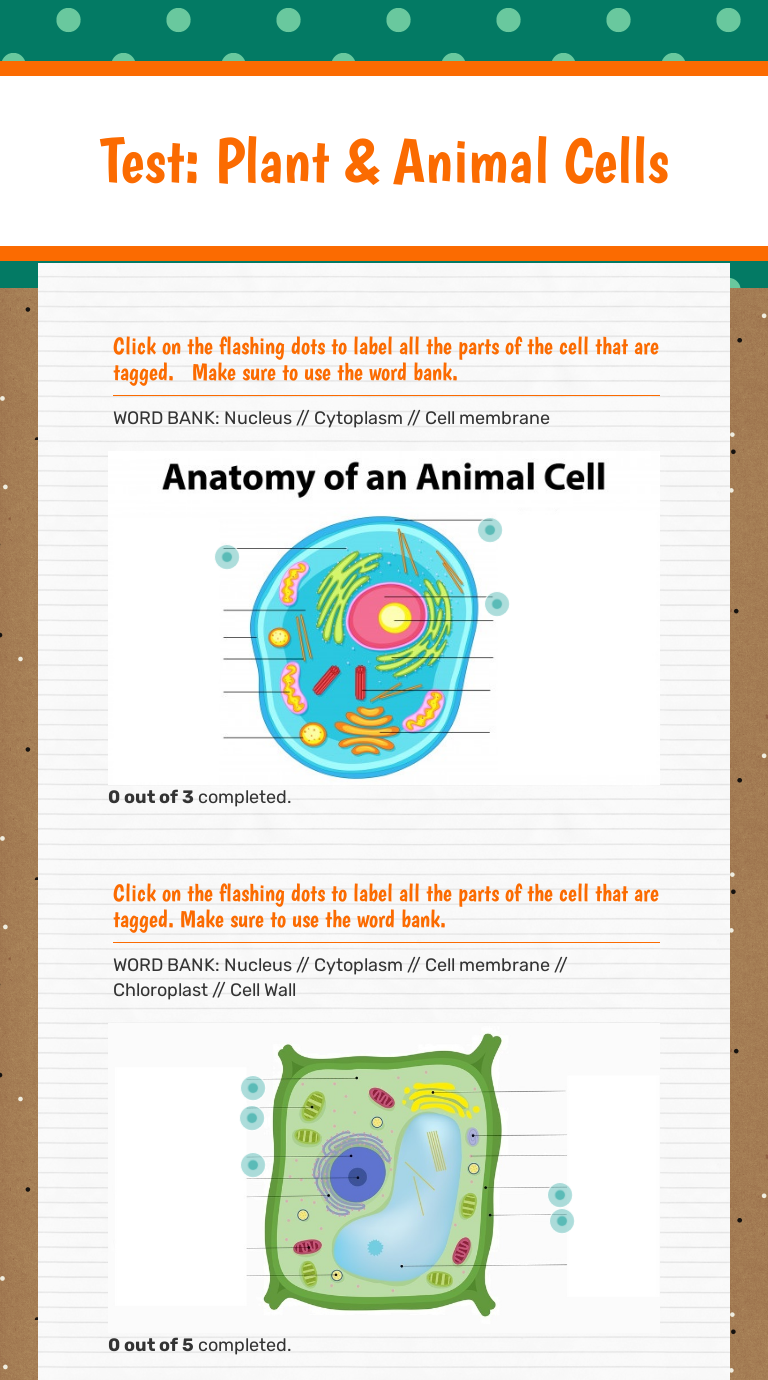 Test: Plant & Animal Cells | Interactive Worksheet by Gregory Singleton ...
