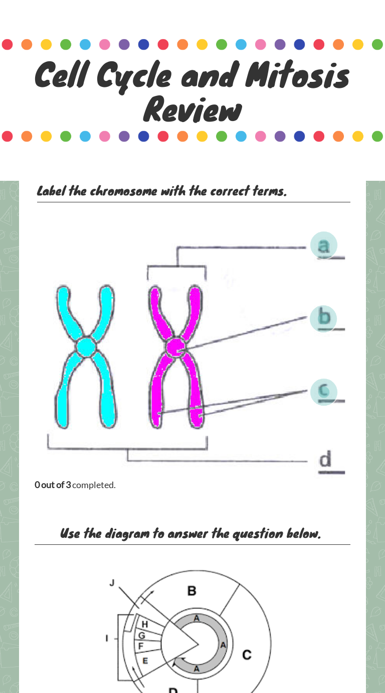 Master the cell cycle and mitosis with this review worksheet! | Cell ...