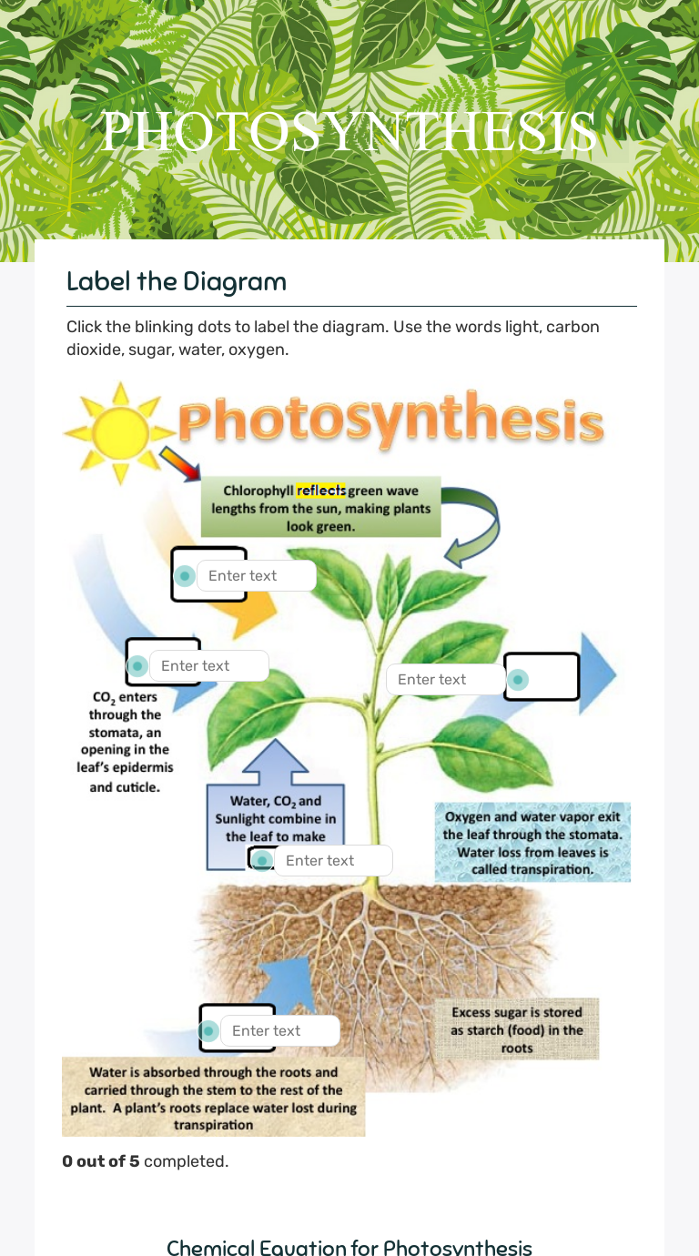 PHOTOSYNTHESIS Interactive Worksheet By Tanner Maloof Wizer me