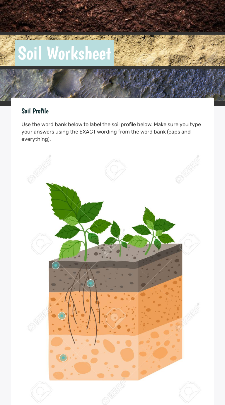 Soil Profile Diagram Worksheet