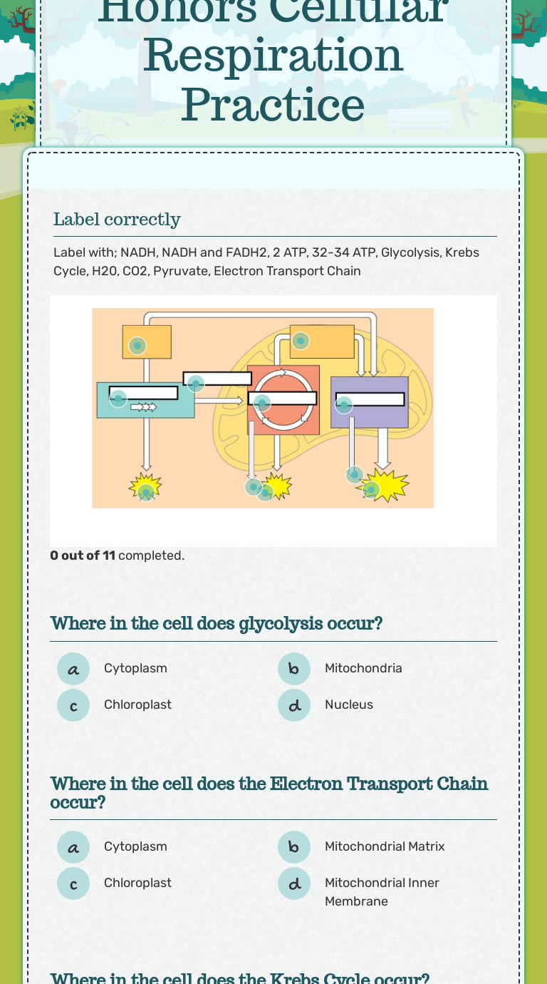 Honors Cellular Respiration Practice by Jennifer Dirksen | Interactive ...