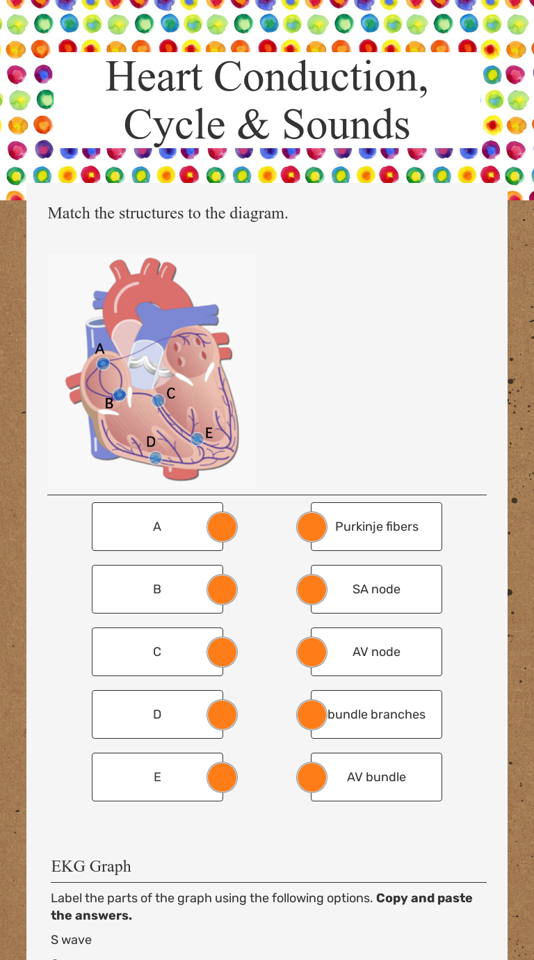 Heart Conduction, Cycle & Sounds | Interactive Worksheet by Vanessa ...