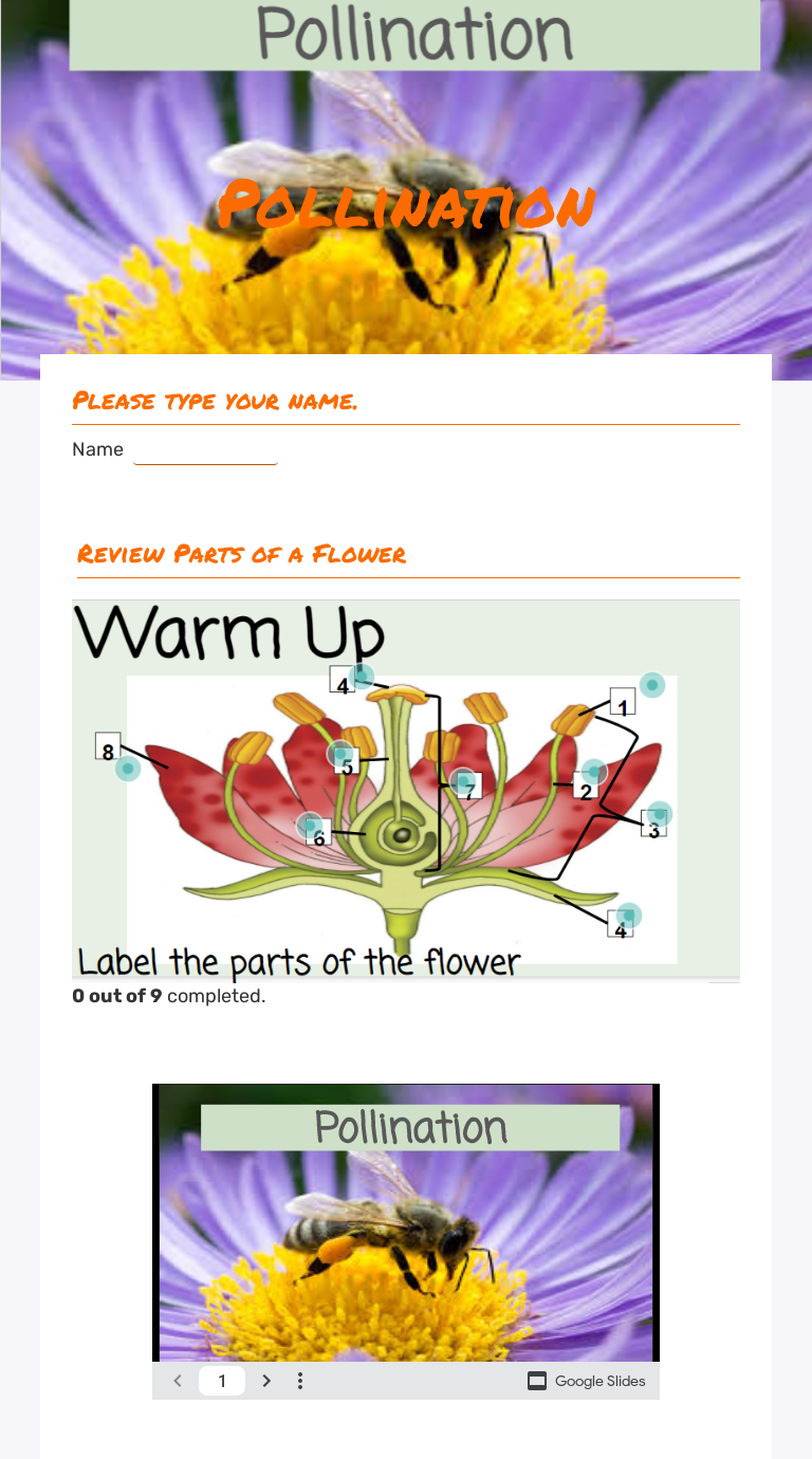 Pollination | Interactive Worksheet by Christina Coley | Wizer.me