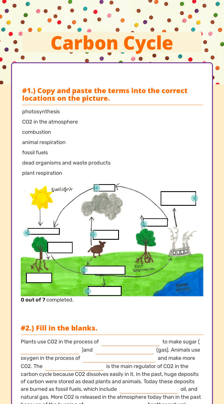 Blank Nitrogen Cycle Worksheet