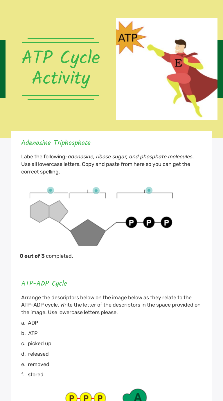 ATP Cycle Activity | Interactive Worksheet by Rhonda Currey | Wizer.me